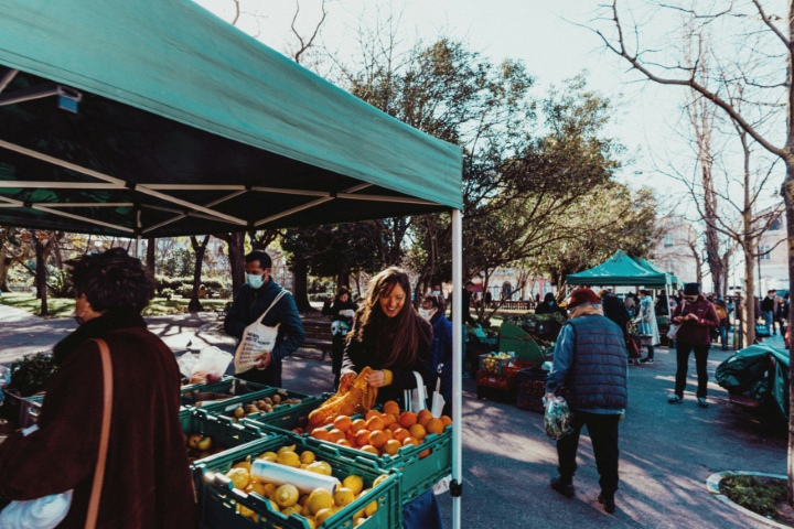 Olympia's Top Farmers Markets: Freshness & Fun Close to Home - Titus ...
